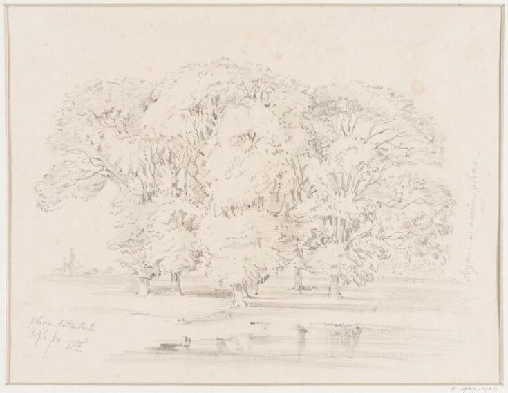 Elms, Eaton Park | Tasker, William H. | V&A Explore The Collections