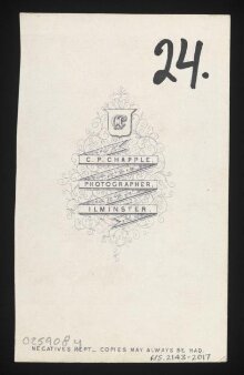 Portrait of a Woman | Chapple, Charles Pope | V&A Explore The Collections