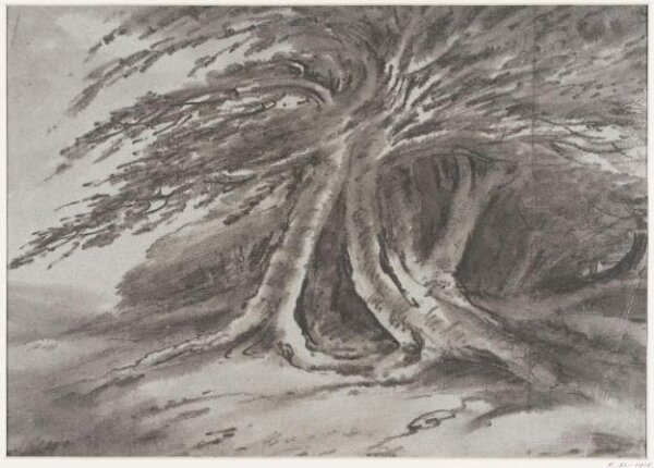 Drawing | Thomas Monro | V&A Explore The Collections