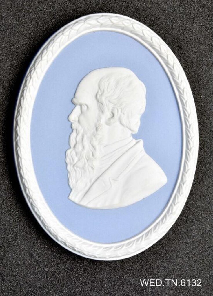 Portrait Medallion | V&A Explore The Collections