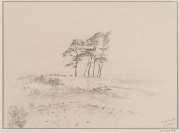 Drawing | Hering, George Edwards | V&A Explore The Collections