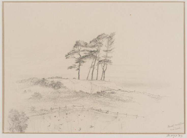 Drawing | Hering, George Edwards | V&A Explore The Collections