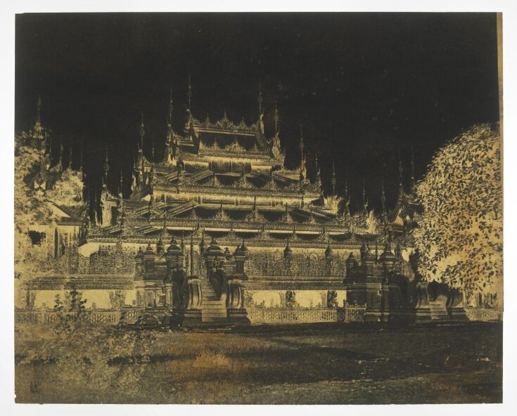 Photograph | Tripe, Linnaeus | V&A Explore The Collections