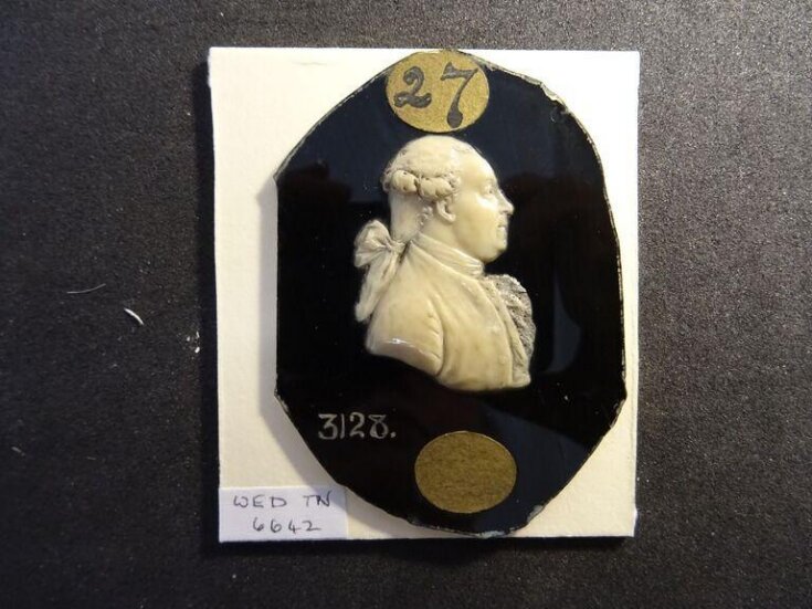 Wax Model | V&A Explore The Collections