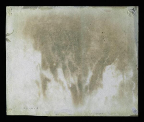 Lace | Fox Talbot, William Henry | V&A Explore The Collections