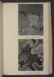 Hannover | Hildebrand, Margit (Margret) | V&A Explore The Collections