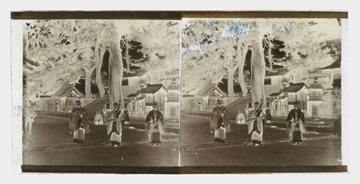 Photographic Negative | V&A Explore The Collections