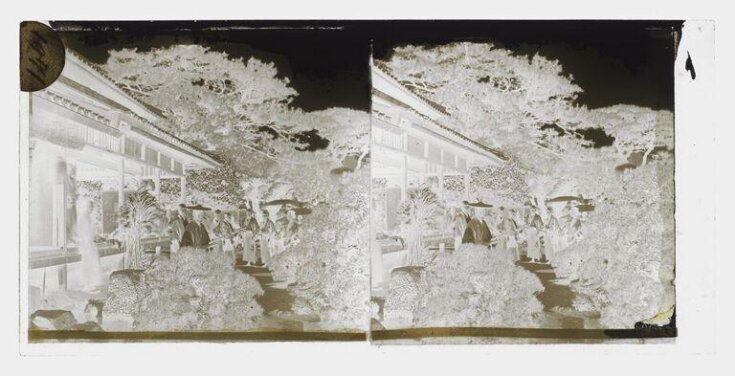 Photographic Negative | V&A Explore The Collections