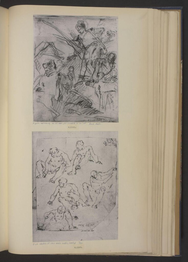 Five Studies of the Male Nude, Seated | Tiepolo, Giovanni Battista | V&A Explore The Collections