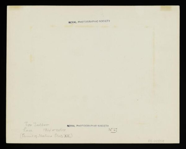 Articles of Lace | Fox Talbot, William Henry | V&A Explore The Collections