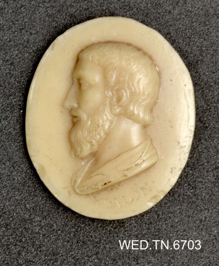 Wax Model | V&A Explore The Collections