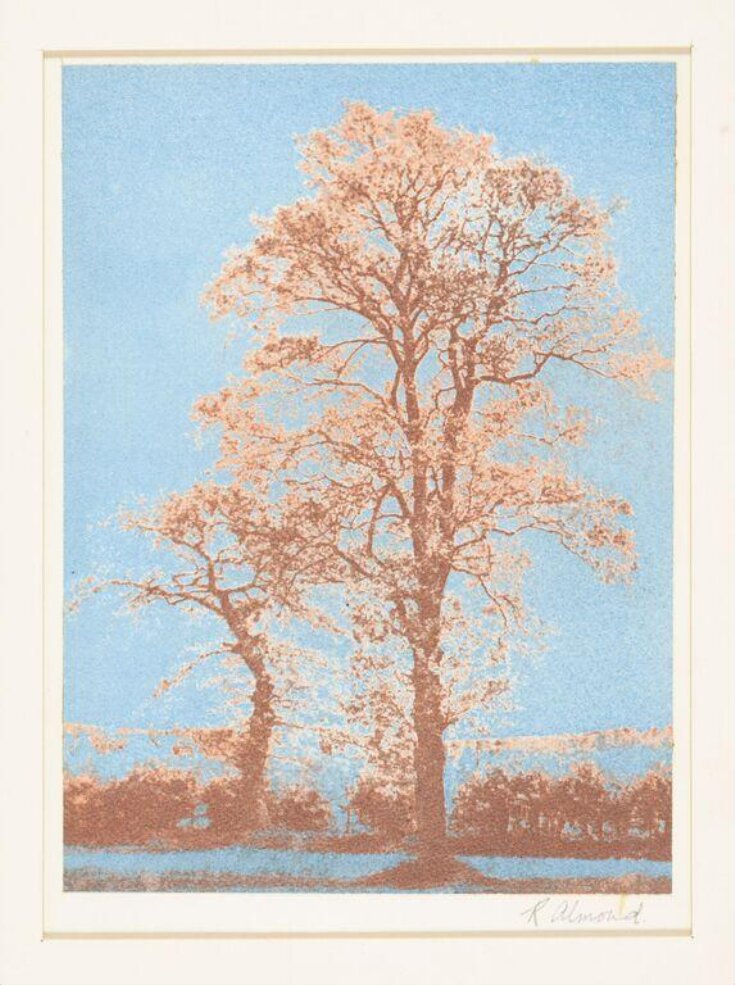 Trees | Almond, Richard | V&A Explore The Collections
