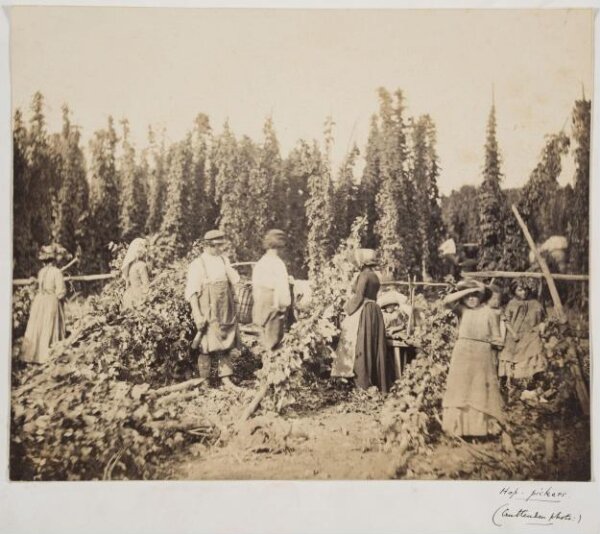 'Hop pickers' | Cruttenden, John (Mr) | V&A Explore The Collections