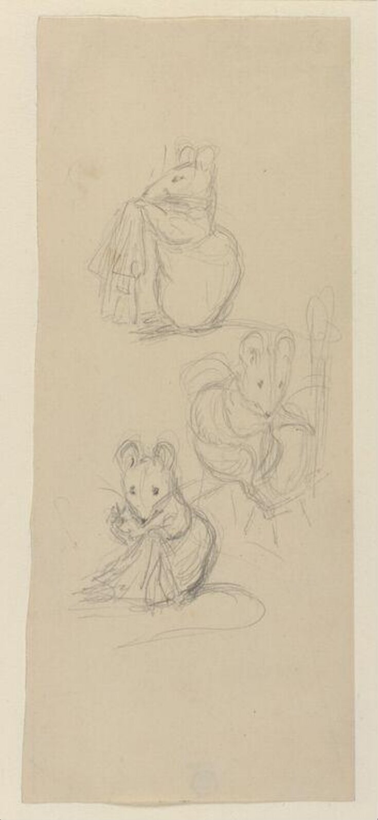 Drawing | Potter, Beatrix | V&A Explore The Collections