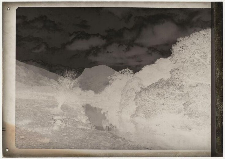 Photographic Negative | V&A Explore The Collections