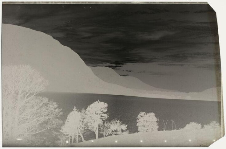 Photographic Negative | V&A Explore The Collections