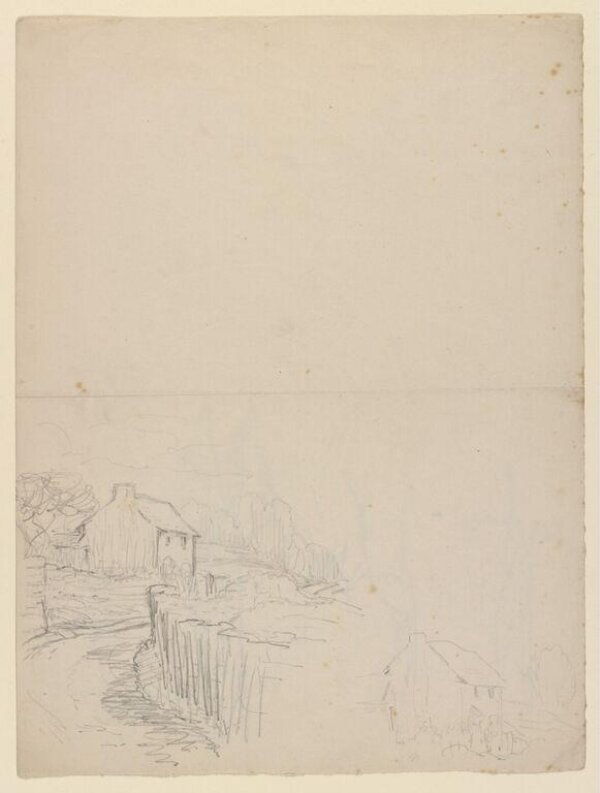Drawing | Beatrix Potter | V&A Explore The Collections