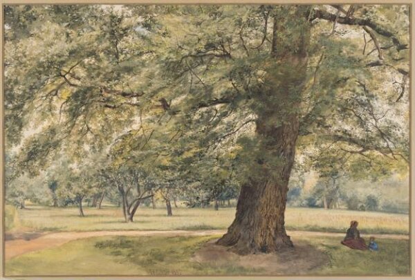 Study of an Elm Tree | Thomas Frederick Collier | V&A Explore The ...
