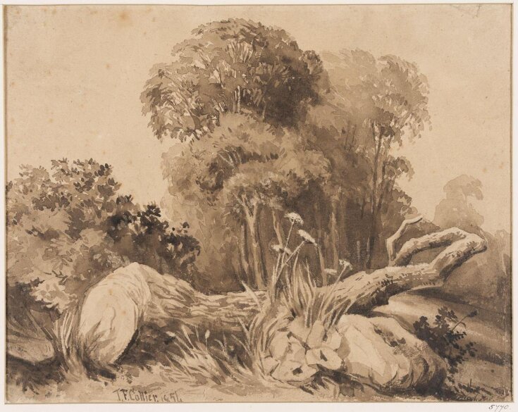 A Tree Cut Down | Thomas Frederick Collier | V&A Explore The Collections