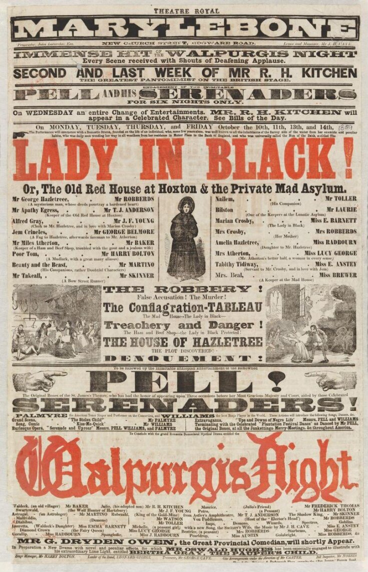 Lady in Black, or, the Old Red House at Hoxton and the Private Mad ...