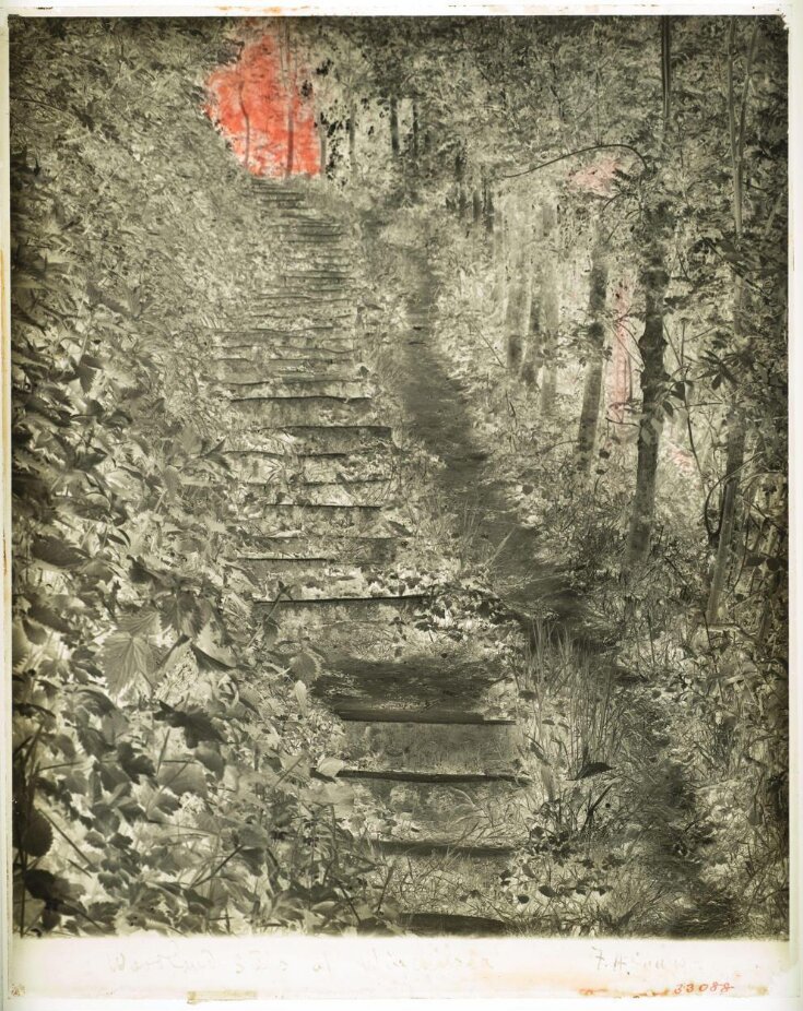 Winchelsea: Steps to Queen Elizabeth's Well | Evans, Frederick Henry ...