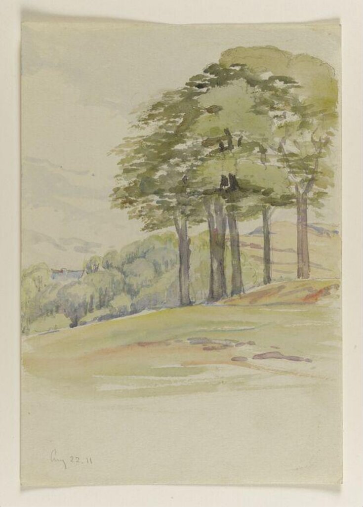 Hillside with five trees | Beatrix Potter | V&A Explore The Collections