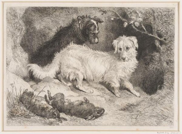 Dogs and Rabbits | Edwin Landseer | V&A Explore The Collections