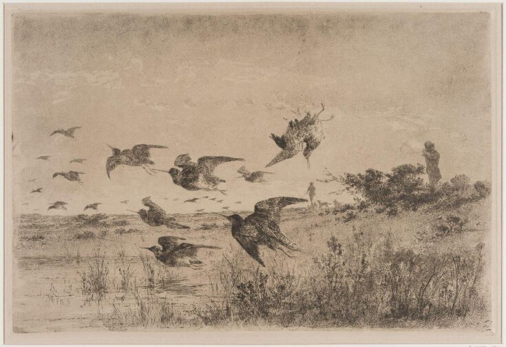 Snipe Shooting. | Rischgitz | V&A Explore The Collections