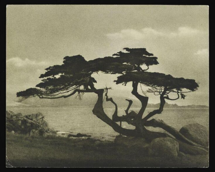 Wind Witch | Hatry, Mildred E. | V&A Explore The Collections