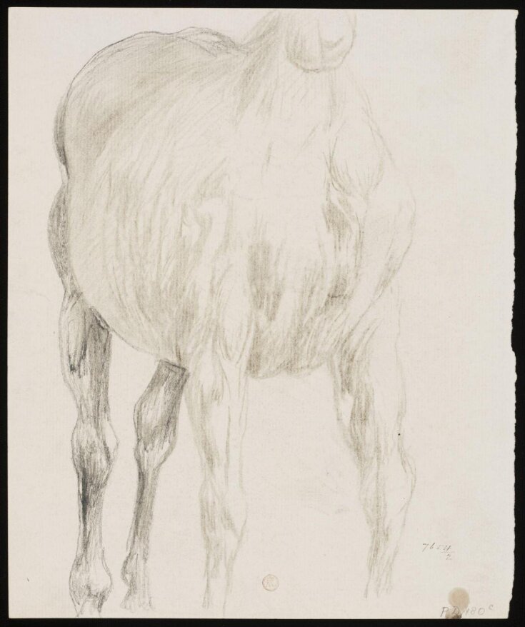 Drawing | William Etty | V&A Explore The Collections