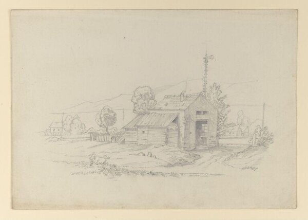 Drawing | Beatrix Potter | V&A Explore The Collections