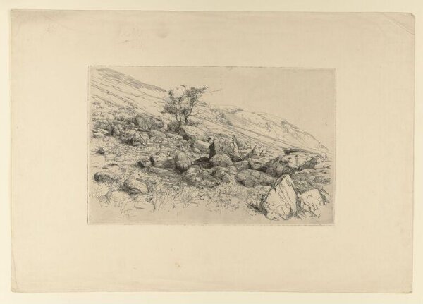 Fellside at Troutbeck | Potter, Bertram | V&A Explore The Collections