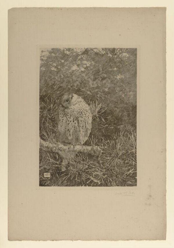 Print | Potter, Bertram | V&A Explore The Collections