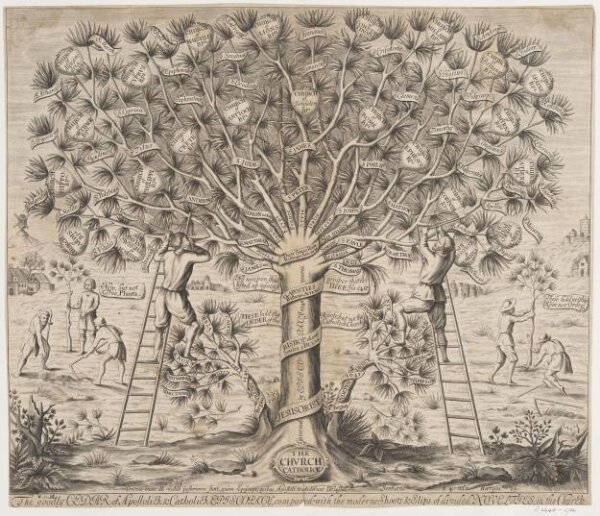 The goodly Cedar of Apostolick & Catholick Episcopacy, compared with ...