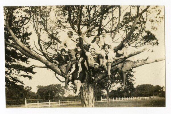 People Up Trees | V&A Explore The Collections