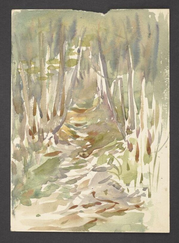 A path through a woodland in autumn | Beatrix Potter | V&A Explore The ...