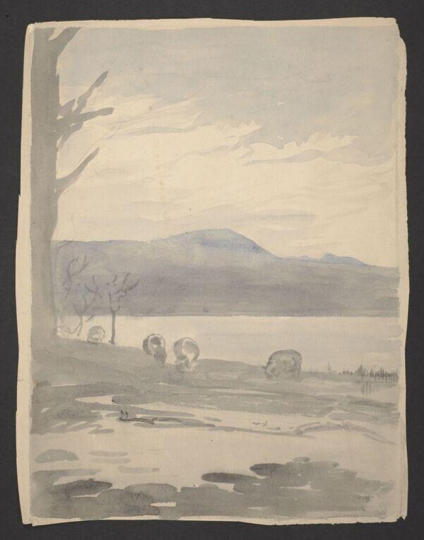 Sheep grazing on the edge of a lake | Beatrix Potter | V&A Explore The ...