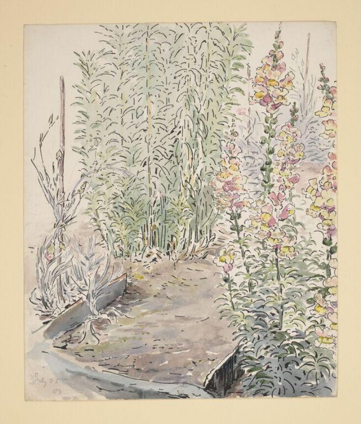 Watercolour | Potter, Beatrix | V&A Explore The Collections