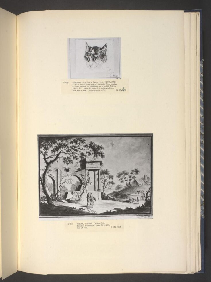 Drawing of a cat | Edwin Landseer | V&A Explore The Collections