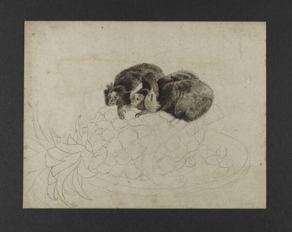 Drawing | Potter, Bertram | V&A Explore The Collections