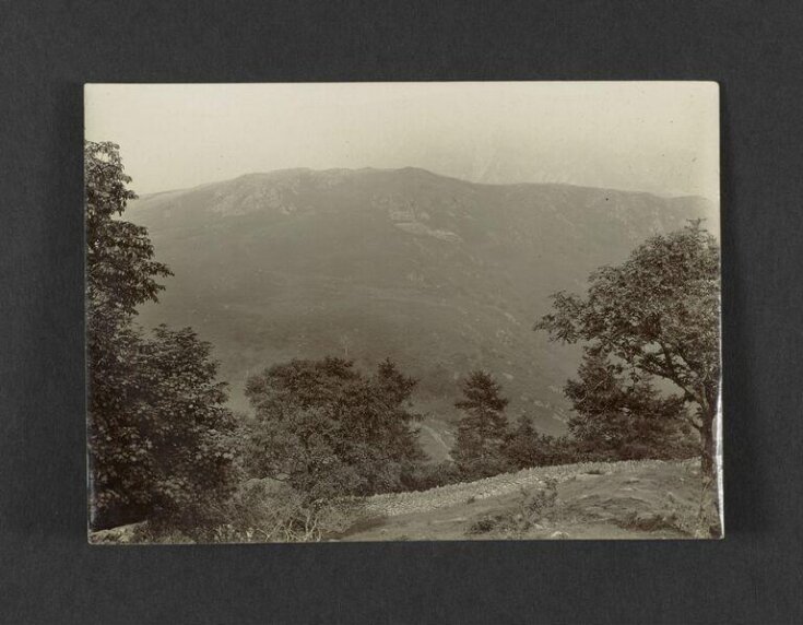 Photograph | Rupert Potter | V&A Explore The Collections