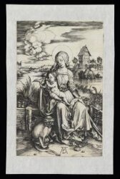 Madonna with the Monkey | Dürer, Albrecht | V&A Explore The Collections