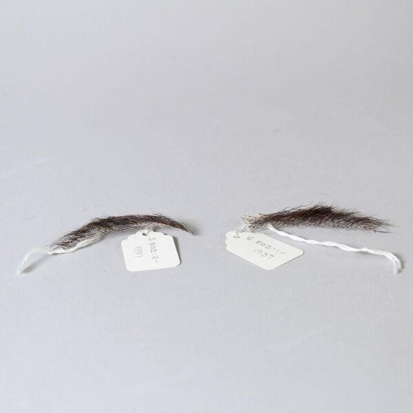 Pair of False Eyebrows | Levasseur, André | V&A Explore The Collections