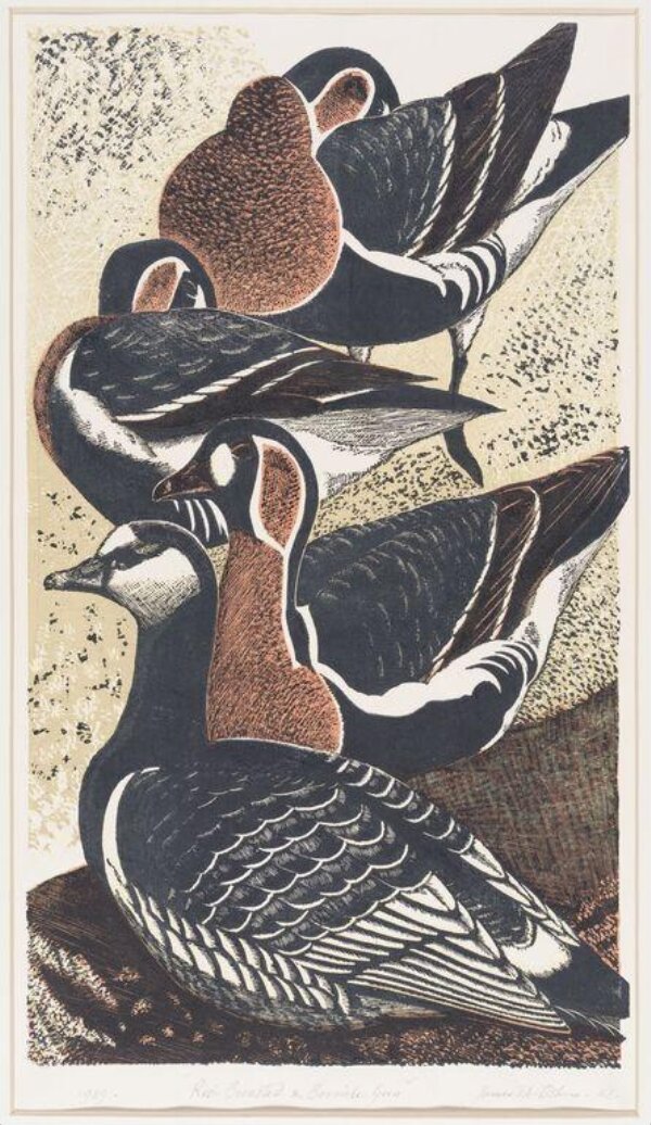 Red-Breasted and Bernicle Geese | Osborne, James Thomas Armour (R.E ...