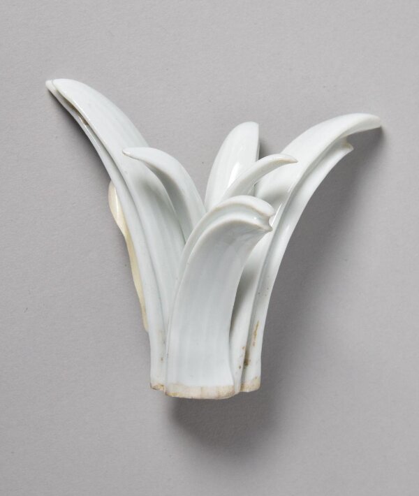 Palm Tree Fragment | Jüchtzer, Christian Gottfried | Schönheit, Johann ...