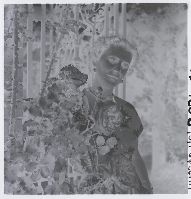 Photographic Negative | V&A Explore The Collections