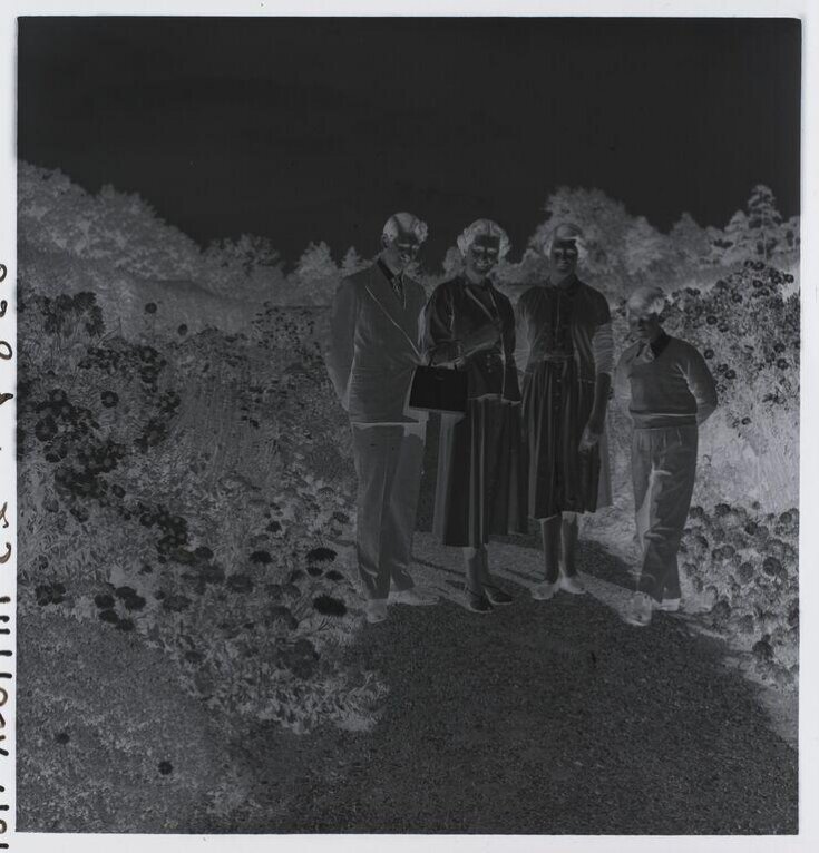Photographic Negative | Beaton, Cecil (Sir) | V&A Explore The Collections