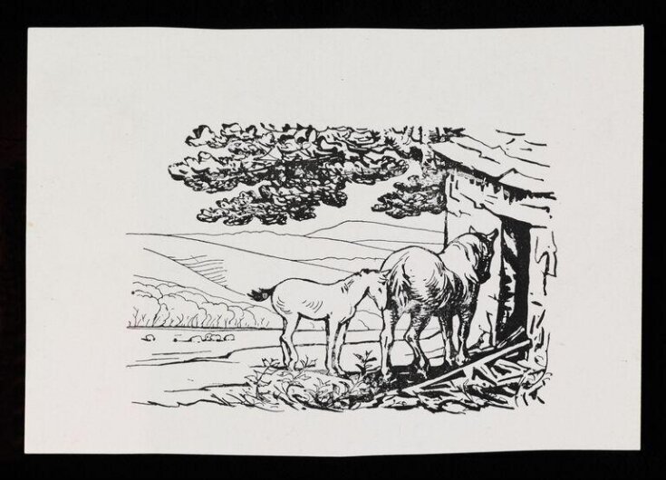 Print | Potter, Beatrix | V&A Explore The Collections