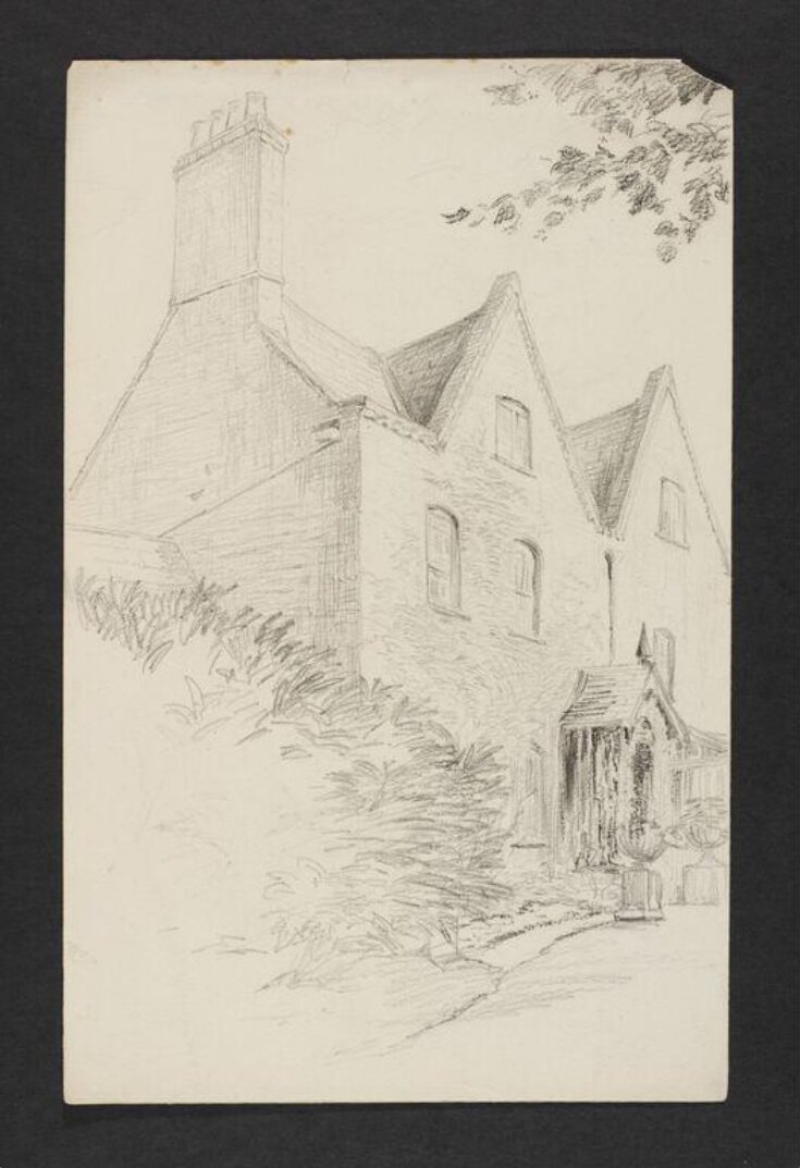 Drawing | Potter, Beatrix | V&A Explore The Collections