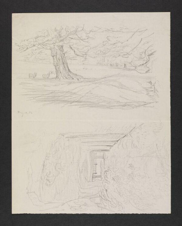 Drawings of parkland and a pathway through trees | Beatrix Potter | V&A ...